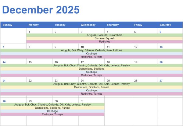 Harvest Calendar - Blumenberry Farms
